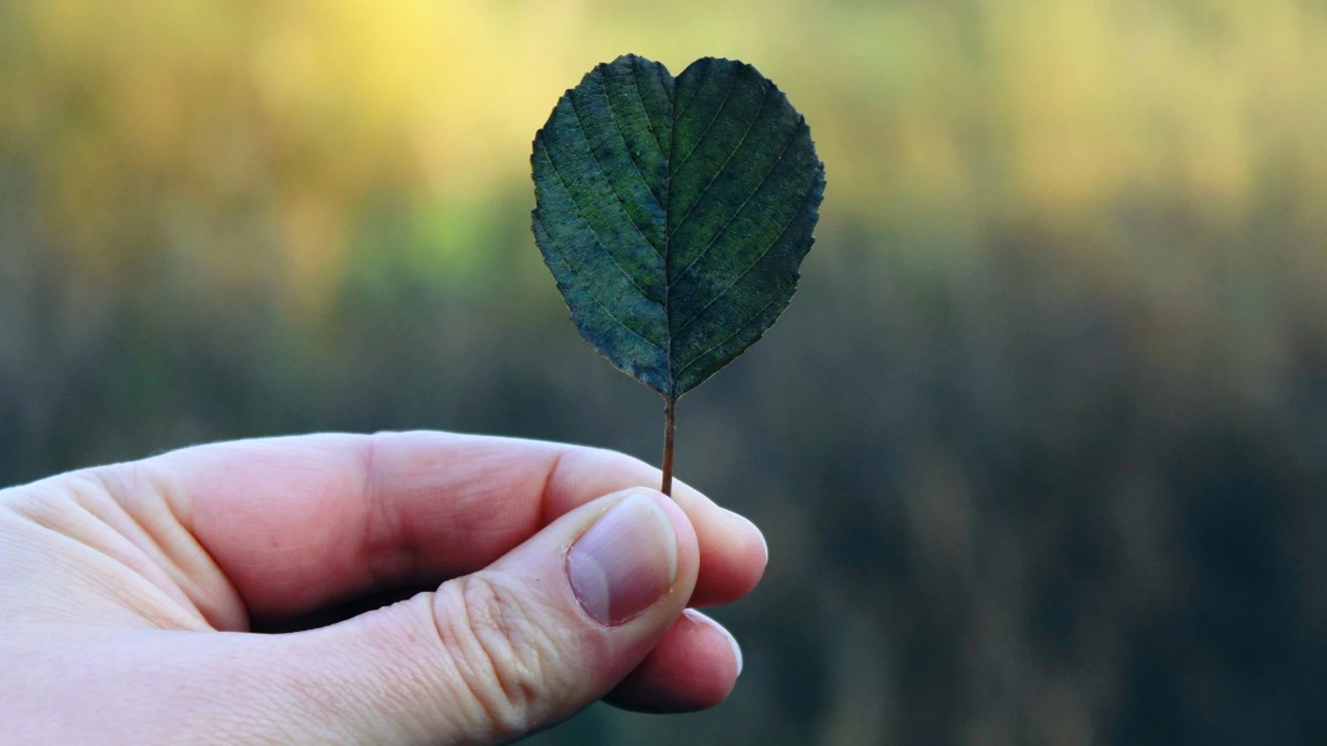Il PIL e l'Ambiente - FONDAZIONE AQUA - ETS